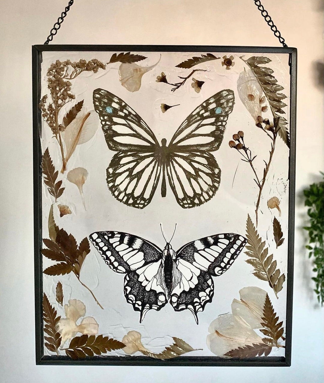 Butterfly Glass Frame - Etsy