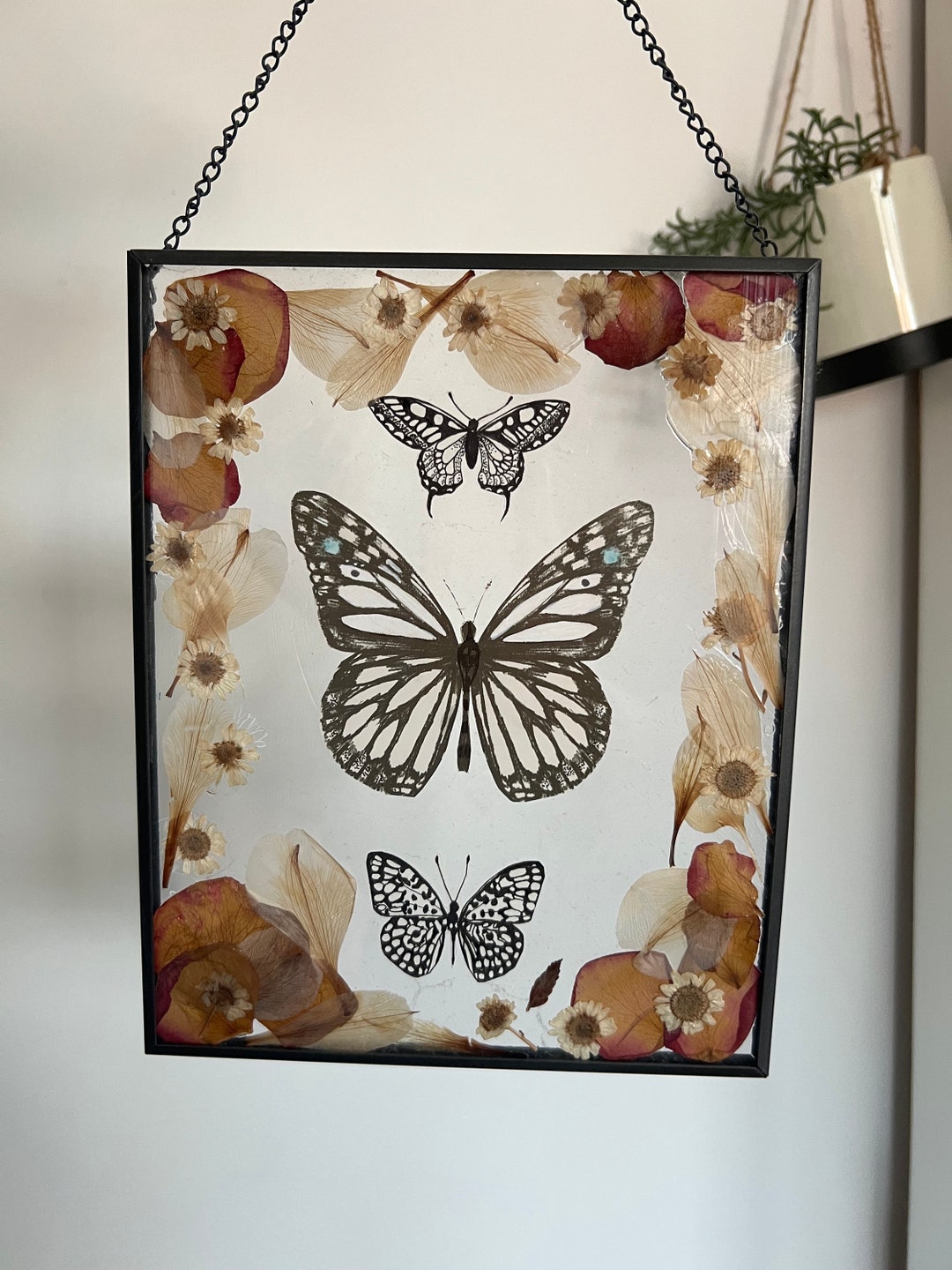 Butterfly Glass Frame - Etsy