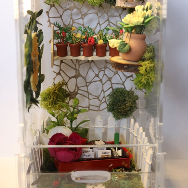 Jumping Spider Enclosure - Etsy