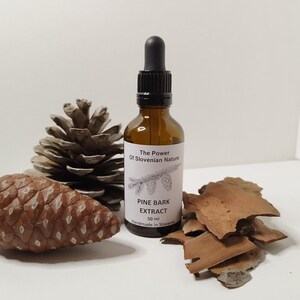 Pine Bark Tincture Extract Liquid, Italian Stone Pine pinus Pinea From ...