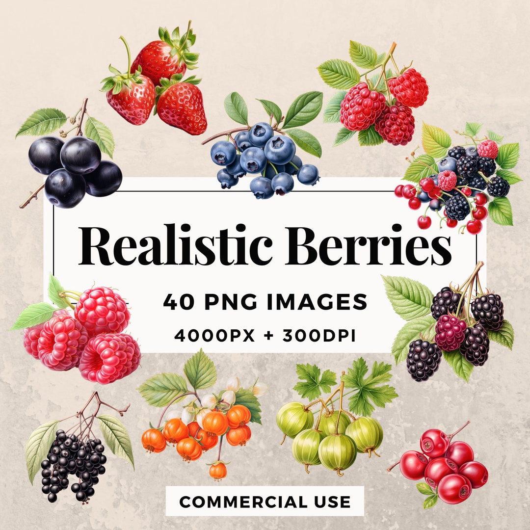 40 Realistic Berries Clipart Pack INSTANT DOWNLOAD 40 Berry ...