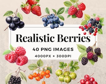 40 Vintage Apples Clipart Pack INSTANT DOWNLOAD Vintage Apple ...