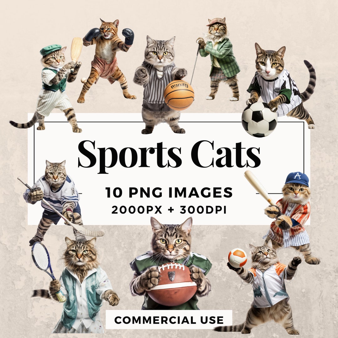10 Sports Cats Clipart Pack INSTANT DOWNLOAD 10 Athletic Cat ...