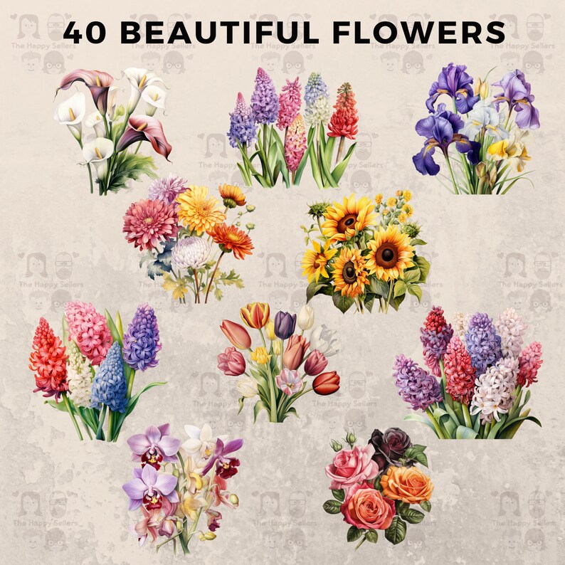 40 Beautiful Flowers Clipart Pack INSTANT DOWNLOAD 40 Floral ...
