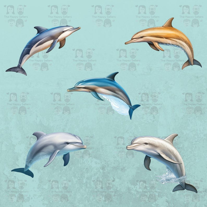 10 Dolphin Clipart Pack INSTANT DOWNLOAD 10 Playful Dolphin ...