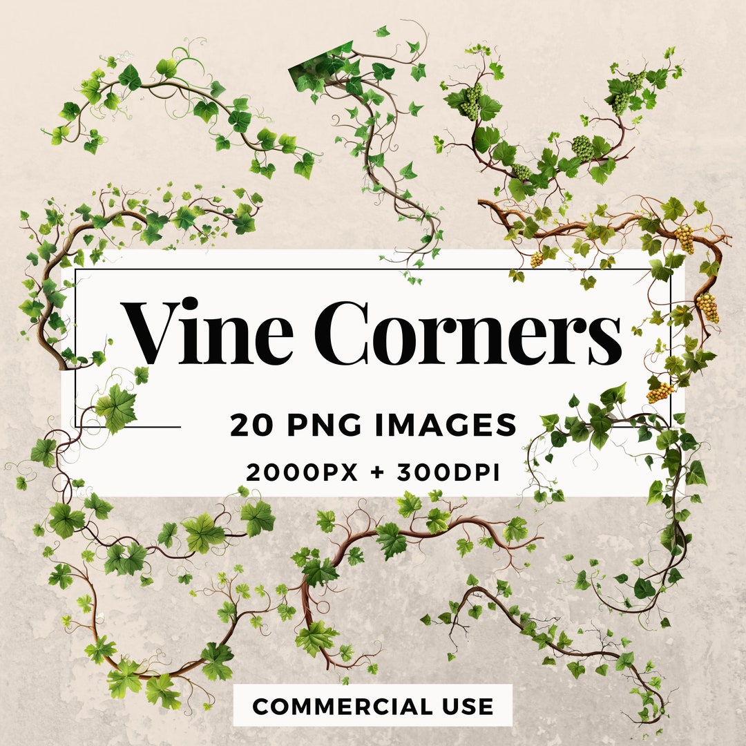 20 Vine Corners Clipart Pack INSTANT DOWNLOAD 20 Elegant Vine Corner ...