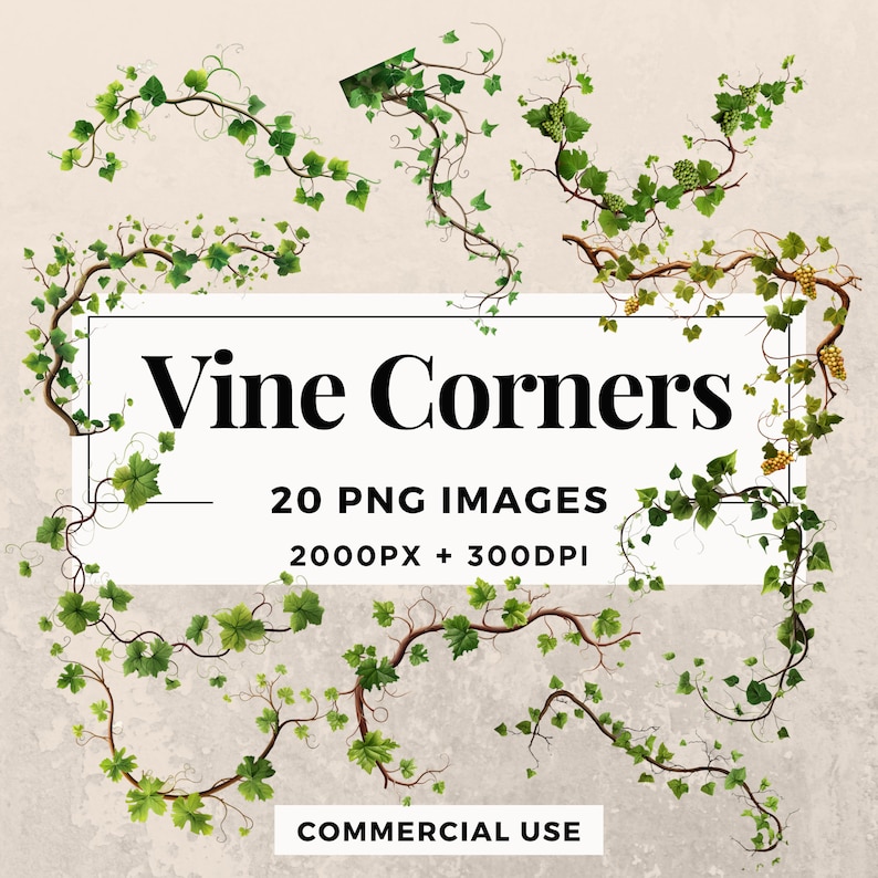 20 Vine Corners Clipart Pack INSTANT DOWNLOAD 20 Elegant Vine Corner ...