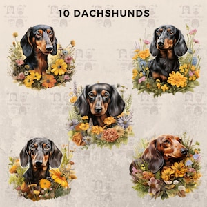 10 Dachshunds Clipart Pack INSTANT DOWNLOAD 10 Dachshund Illustrations ...