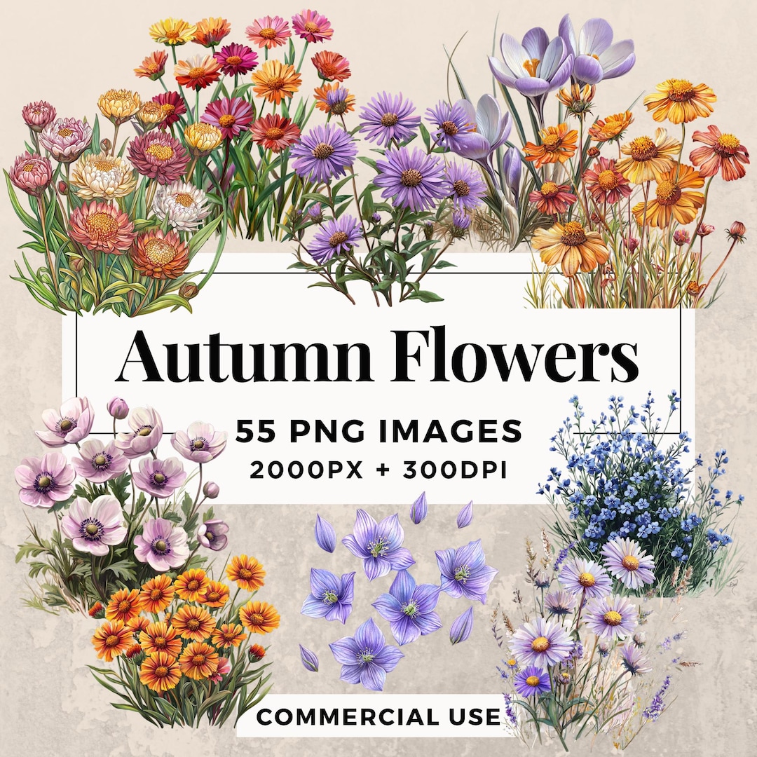 55 Autumn Flowers Clipart Pack INSTANT DOWNLOAD 55 Fall-themed Floral ...