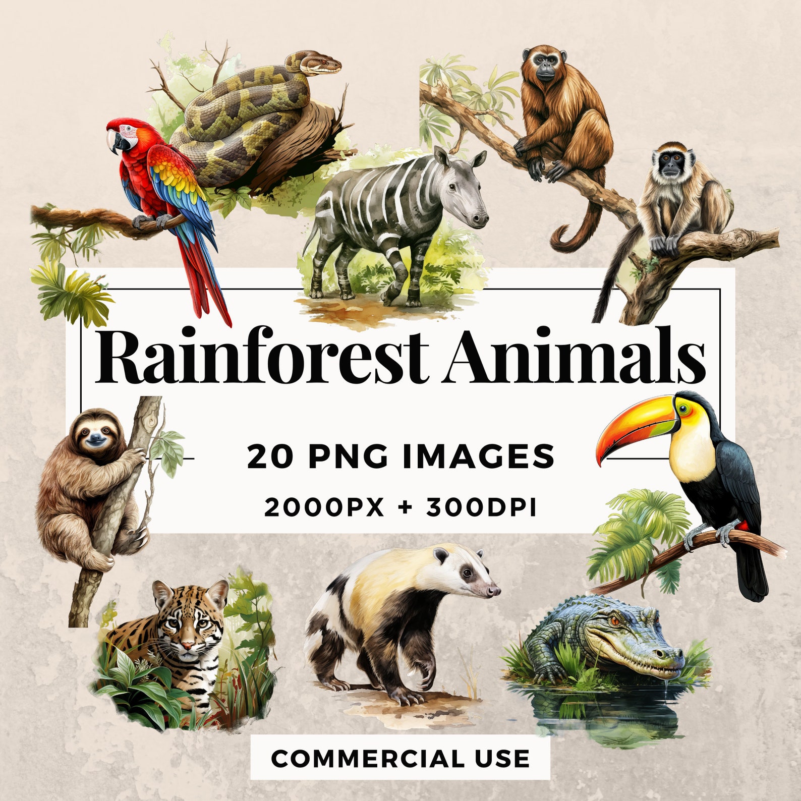 20 Rainforest Animals Clipart Pack INSTANT DOWNLOAD 20 Rainforest ...