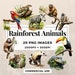 20 Rainforest Animals Clipart Pack INSTANT DOWNLOAD 20 Rainforest ...