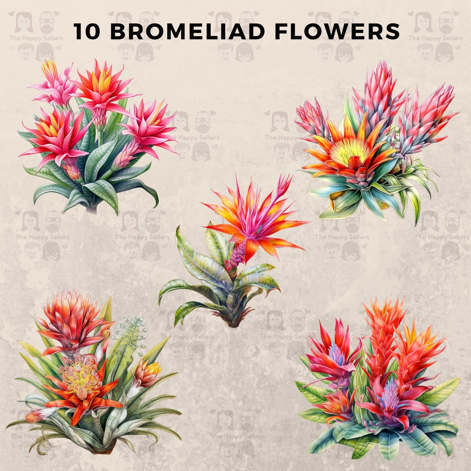 10 Bromeliad Flowers Clipart Pack INSTANT DOWNLOAD 10 Exquisite Flower ...