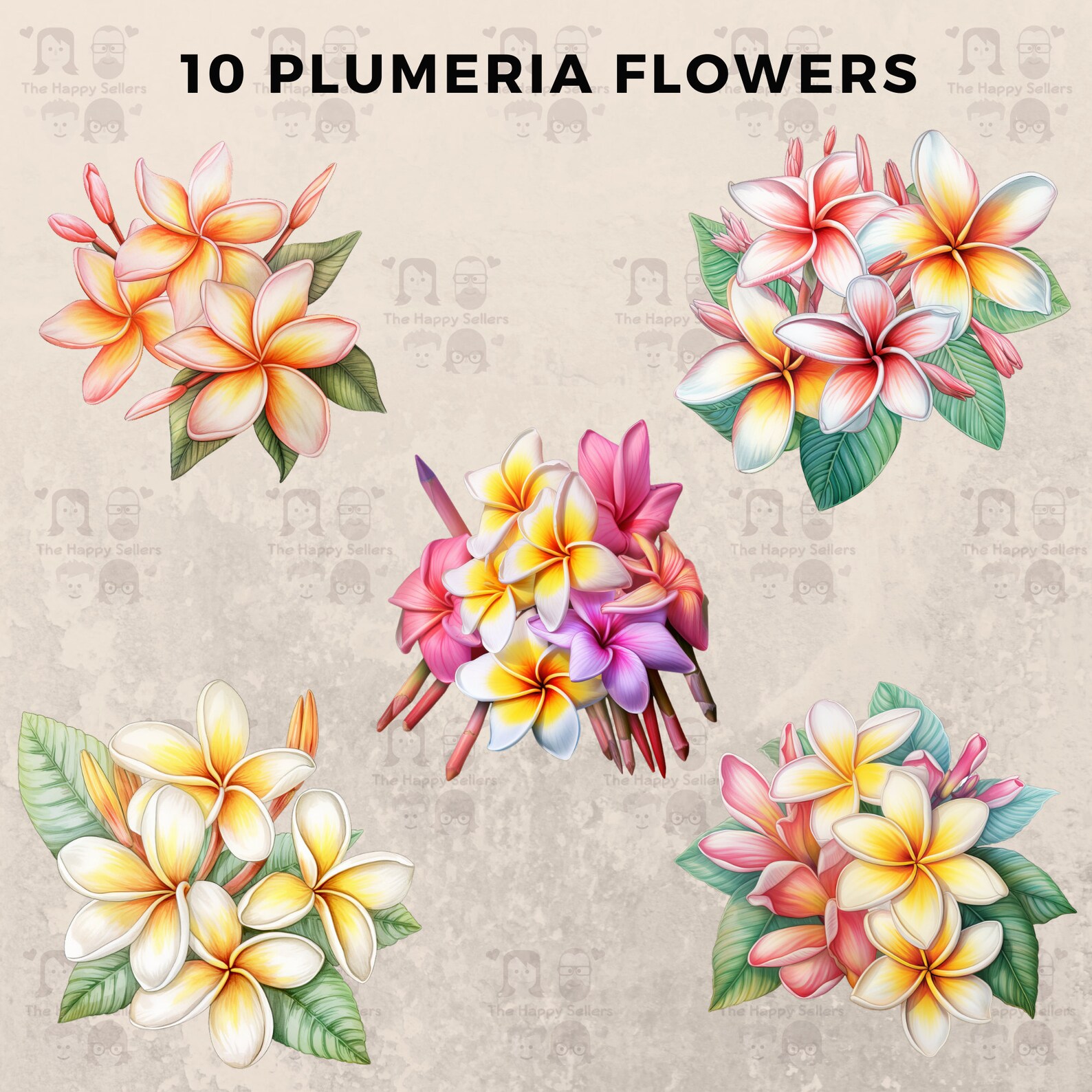 10 Plumeria Flowers Clipart Pack INSTANT DOWNLOAD 10 Floral ...