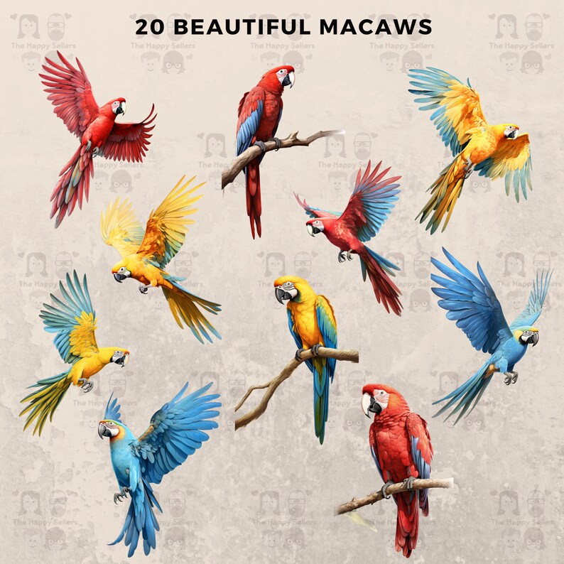20 Beautiful Macaws Clipart Pack INSTANT DOWNLOAD 20 Vibrant ...
