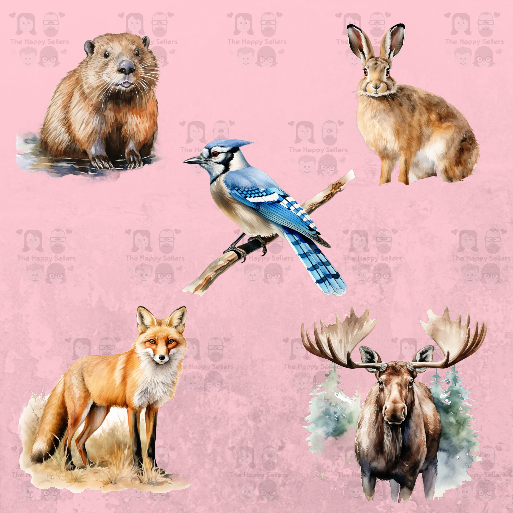 10 Canadian Forest Animals Clipart Pack Instant Download, PNG Images ...