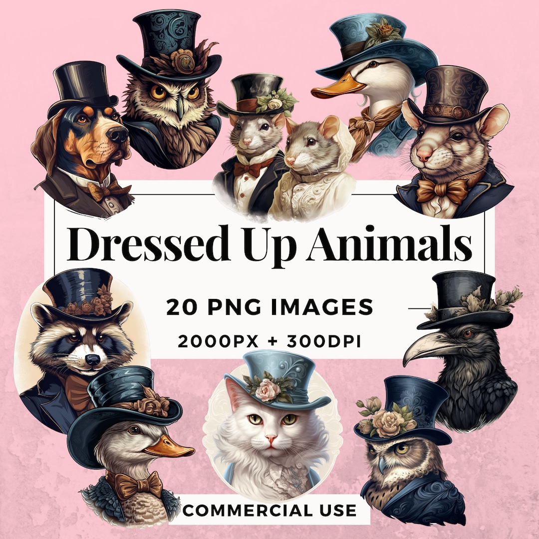 20 Dressed up Animals Clipart Pack - INSTANT DOWNLOAD, PNG Transparent ...