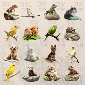 25 Realistic Pets Clipart Pack INSTANT DOWNLOAD 25 Lifelike Pet ...