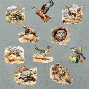 40 Watercolor Desert Animals Clipart Pack INSTANT DOWNLOAD Desert ...