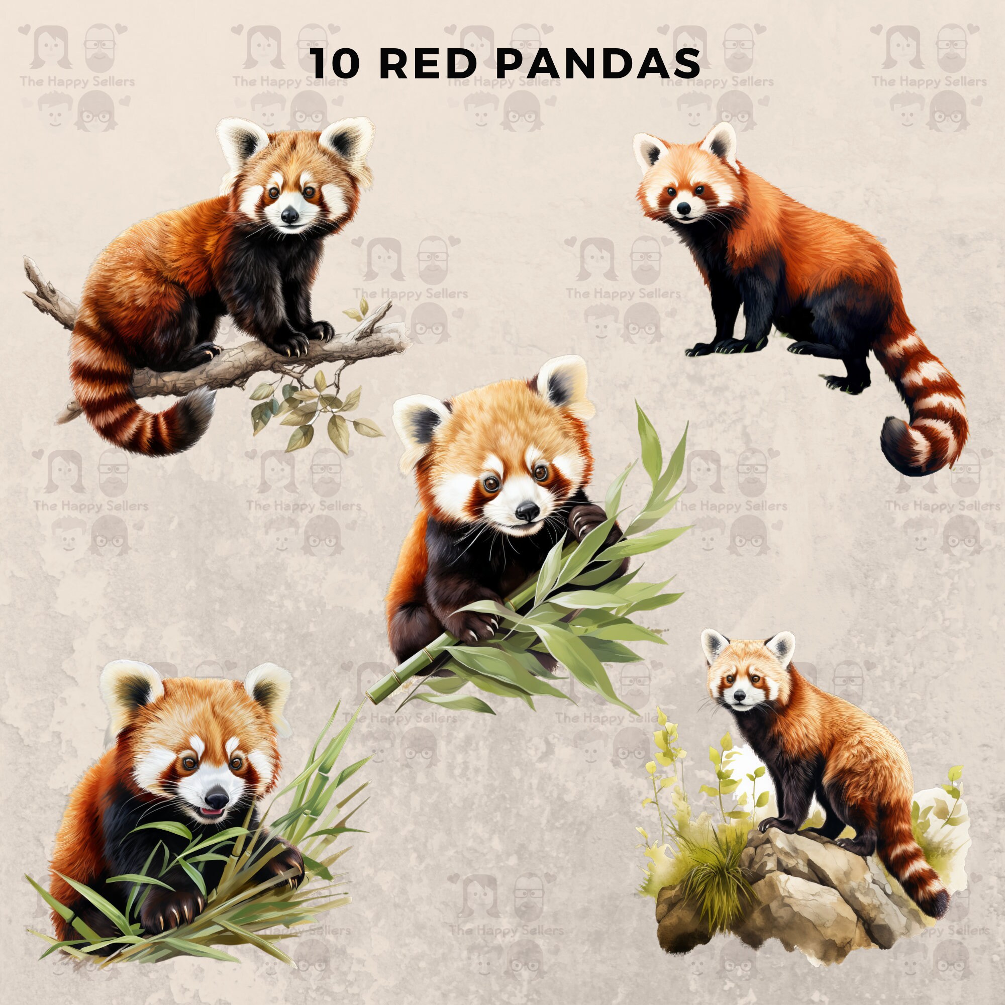 10 Red Pandas Clipart Pack INSTANT DOWNLOAD 10 Red Panda Illustrations ...
