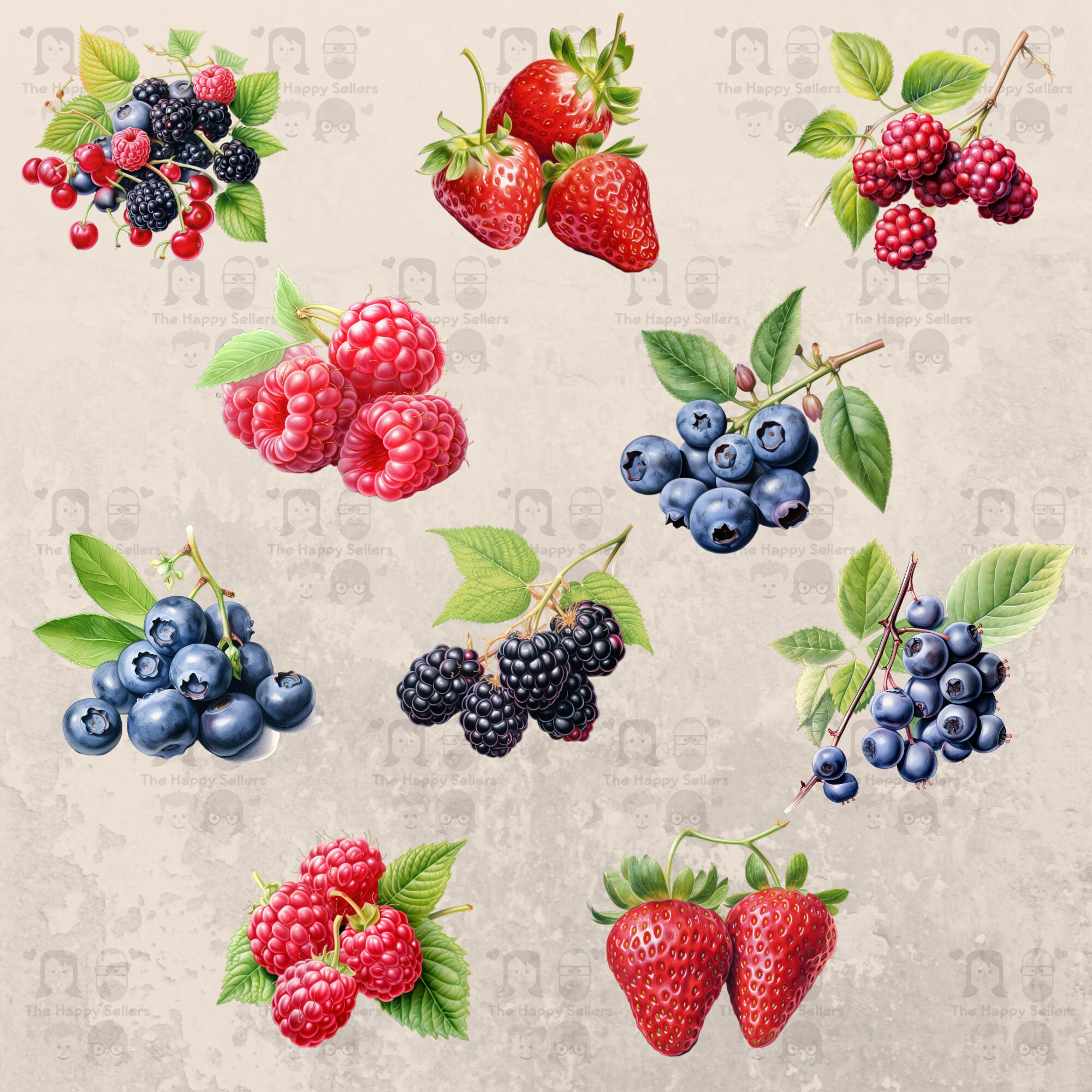 40 Realistic Berries Clipart Pack INSTANT DOWNLOAD 40 Berry ...
