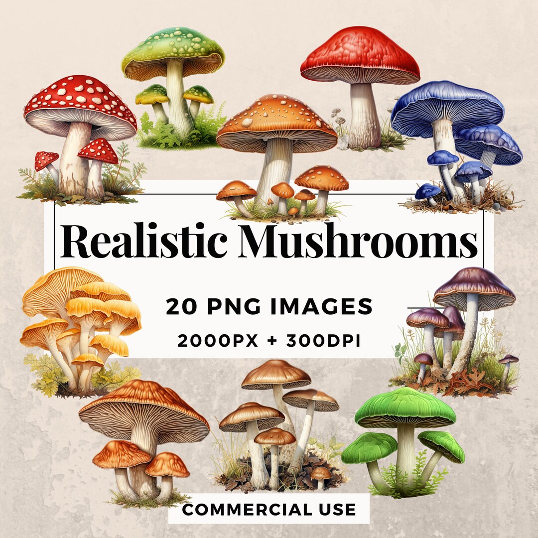 20 Realistic Mushrooms Clipart Pack INSTANT DOWNLOAD 20 Detailed ...