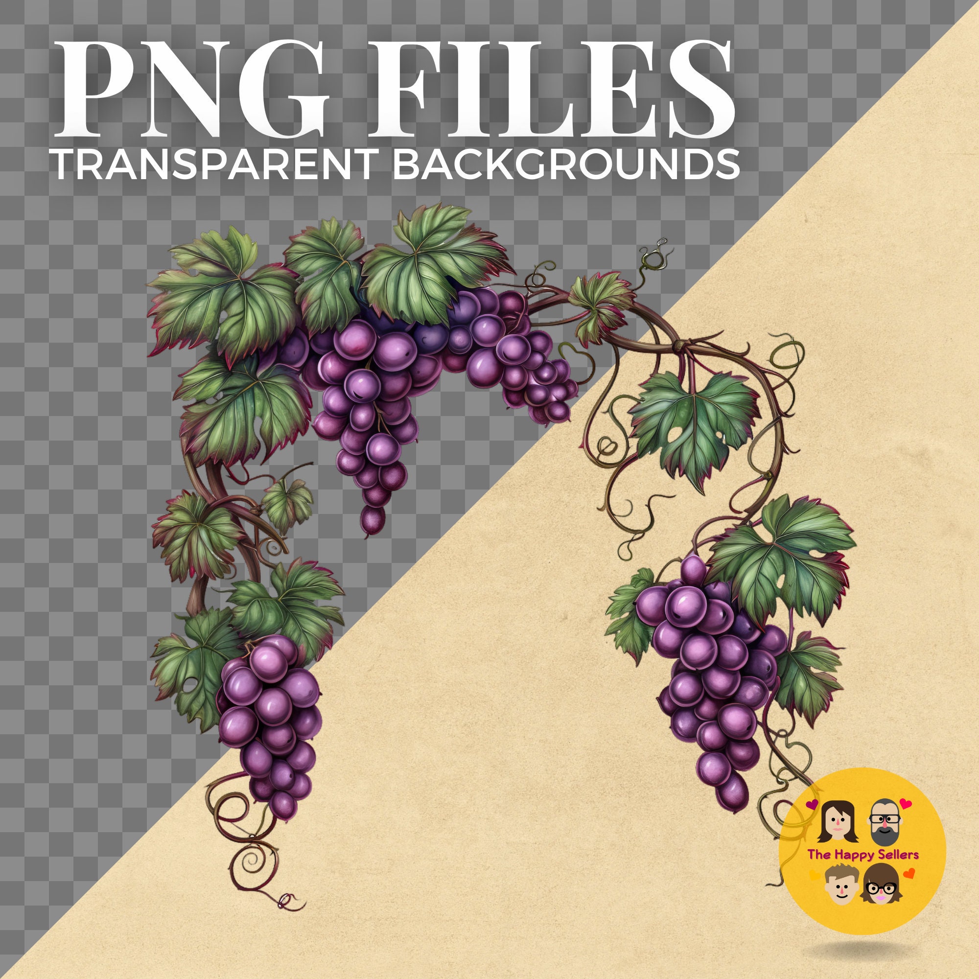 30 Grapevines Corner Designs Clipart Pack INSTANT DOWNLOAD, PNG ...