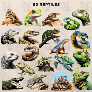 80 Reptiles Clipart Pack INSTANT DOWNLOAD 80 Diverse Reptile ...