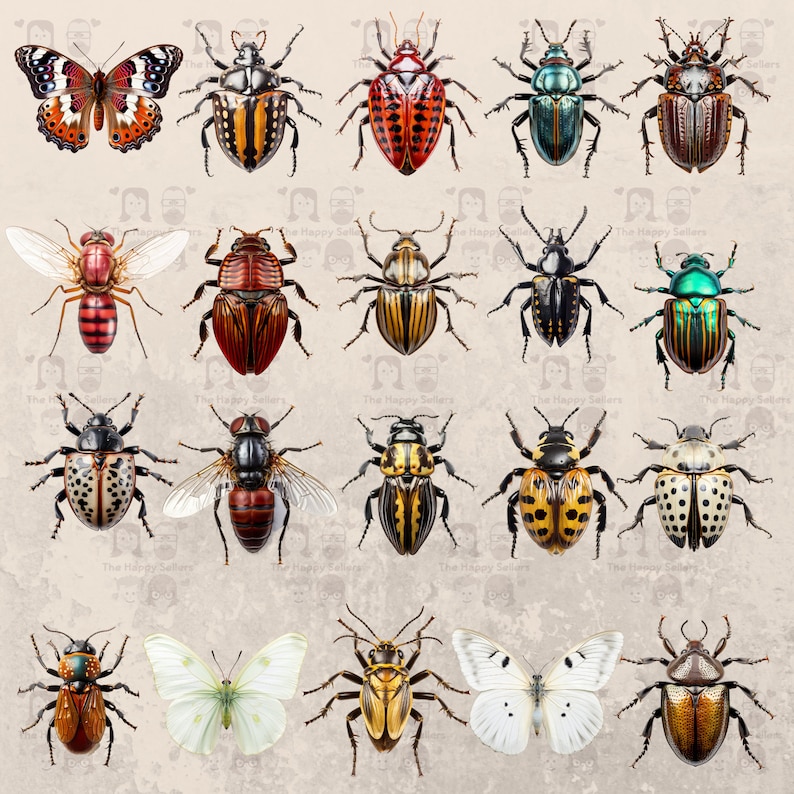 50 Insect Collection Clipart Pack INSTANT DOWNLOAD 50 Intricate Insect ...