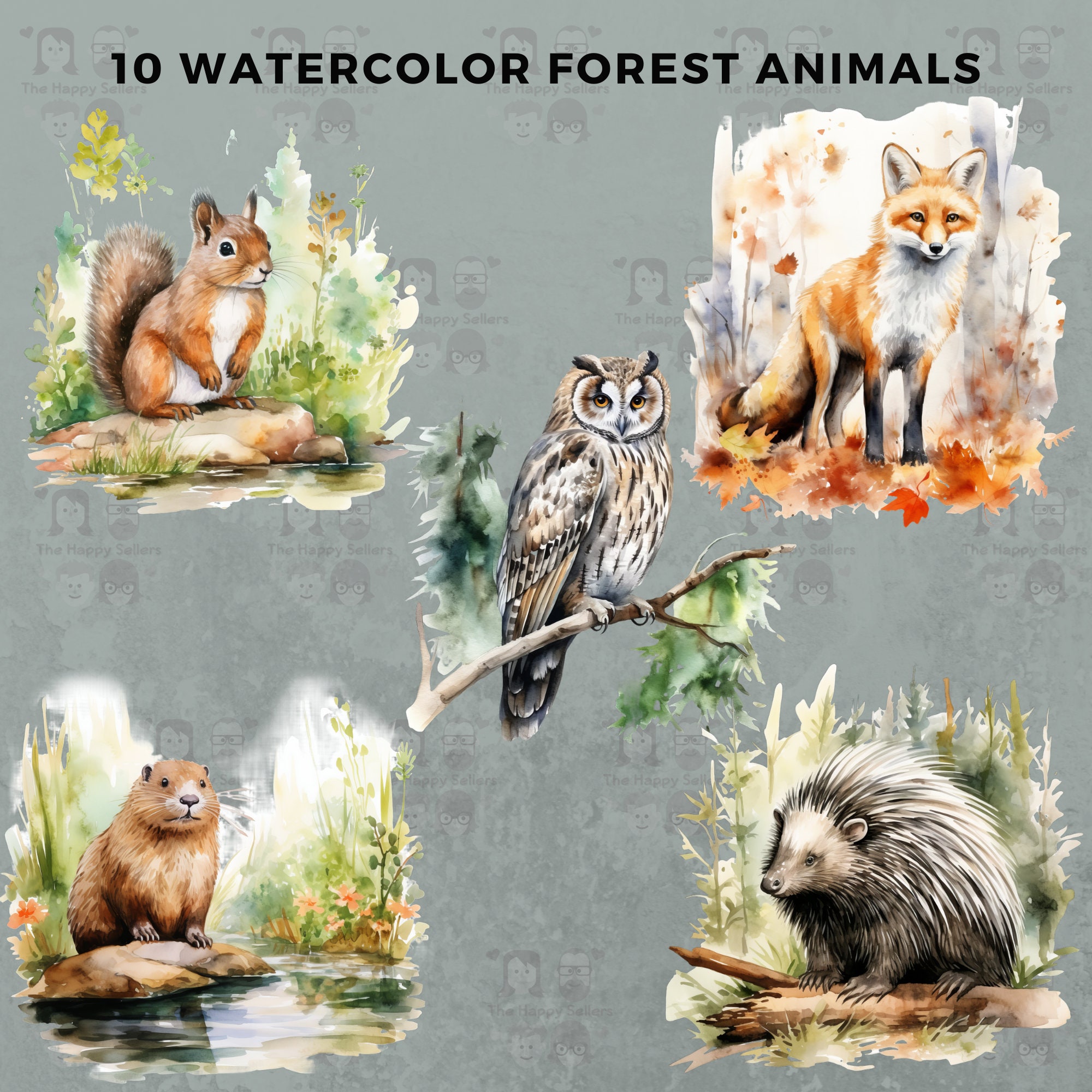 10 Watercolor Forest Animals Clipart Pack - Instant Download, PNG ...