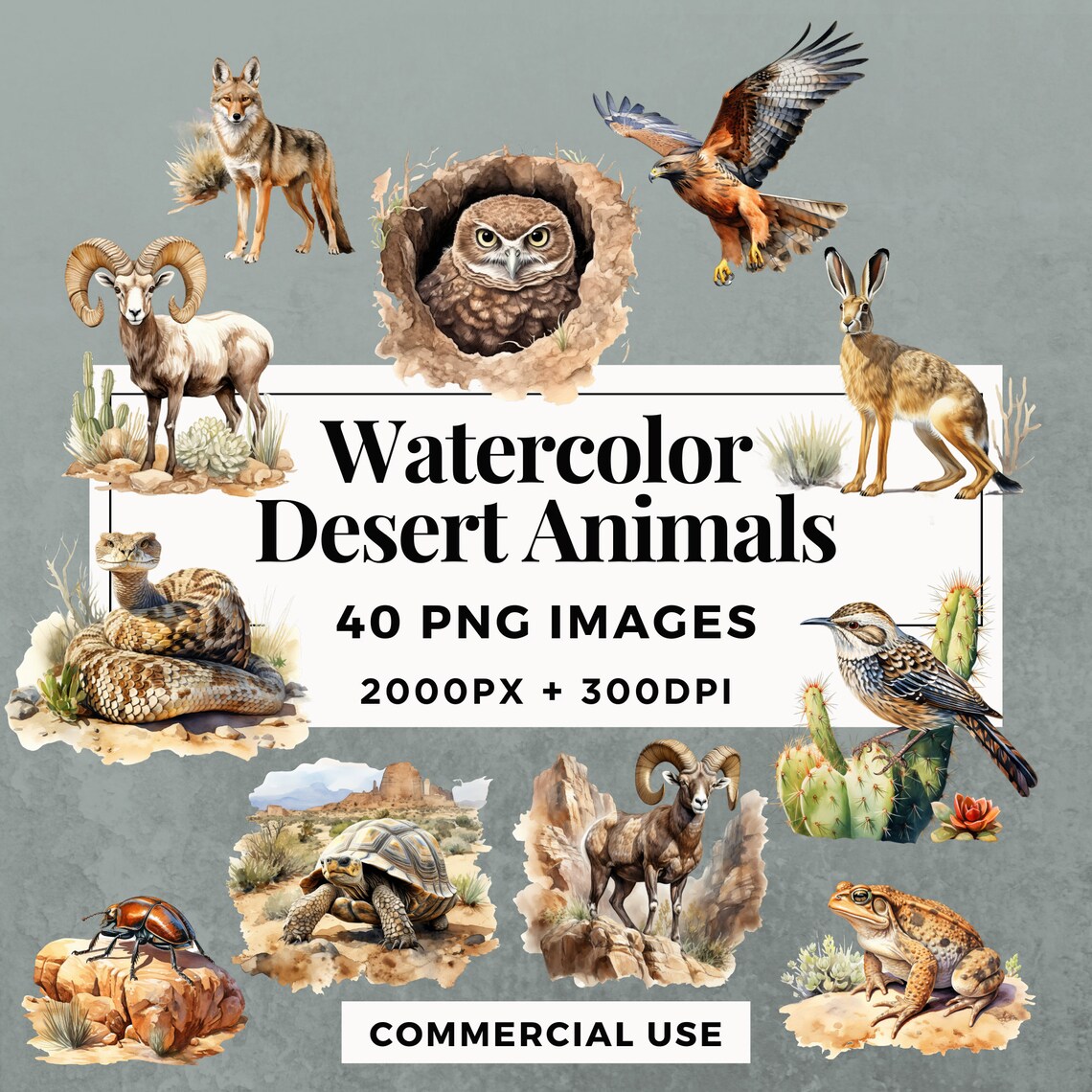 40 Watercolor Desert Animals Clipart Pack INSTANT DOWNLOAD Desert ...