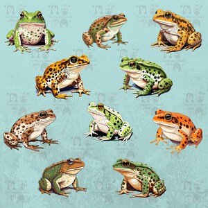 30 Toads Clipart Pack INSTANT DOWNLOAD 30 Whimsical Toad Illustrations ...
