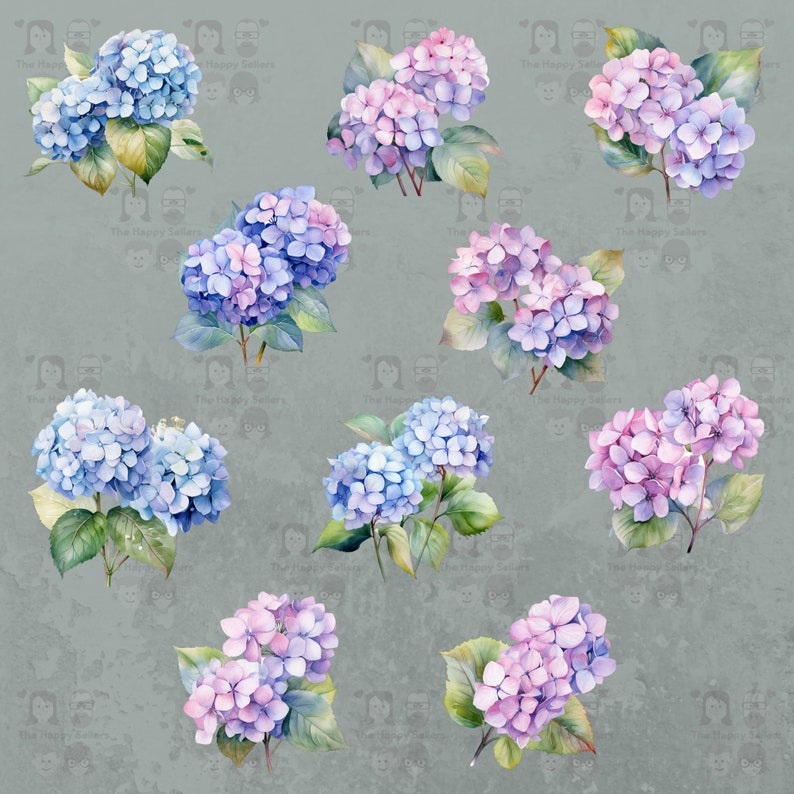 40 Watercolor Hydrangeas Flowers Clipart Pack INSTANT DOWNLOAD 40 ...
