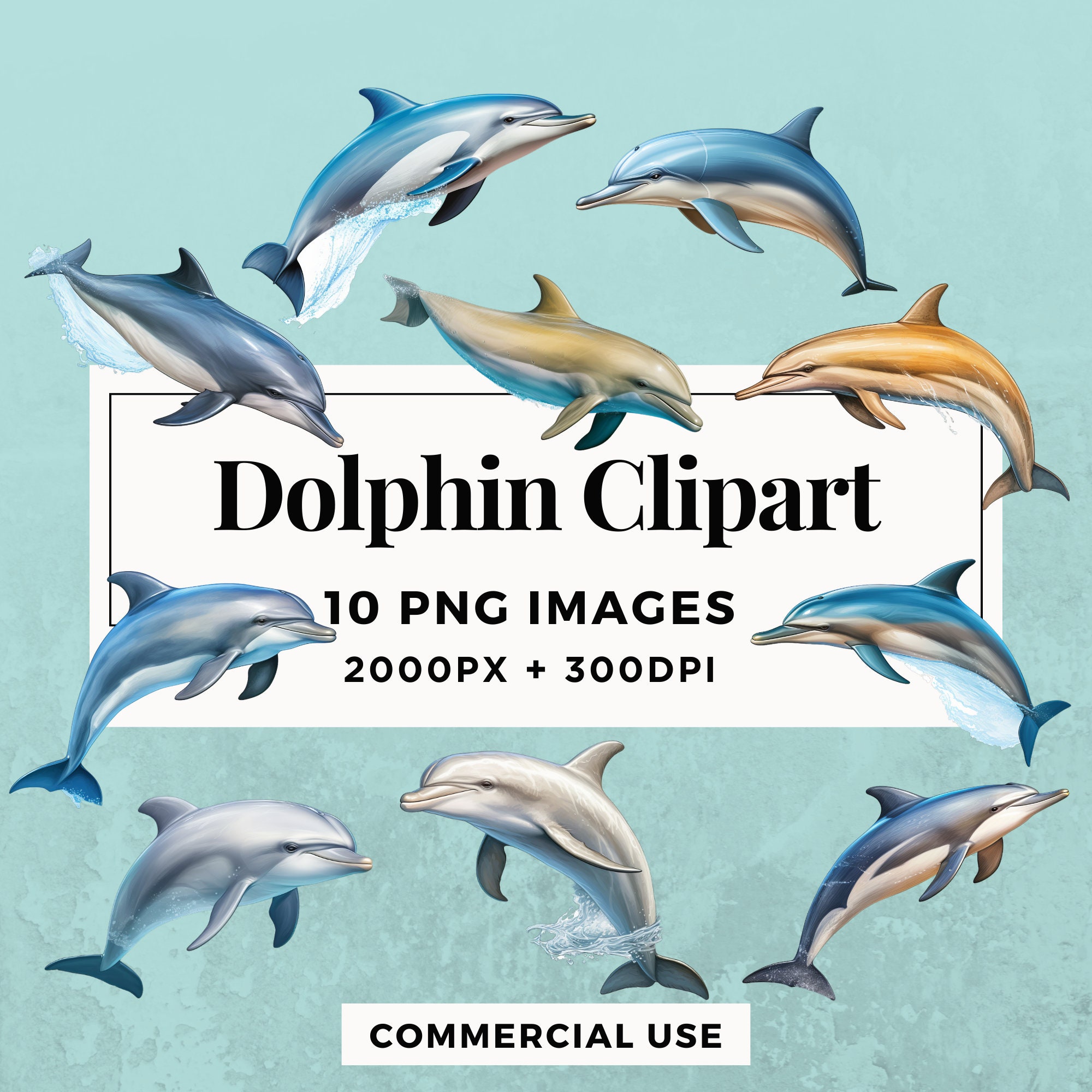 10 Dolphin Clipart Pack INSTANT DOWNLOAD 10 Playful Dolphin ...
