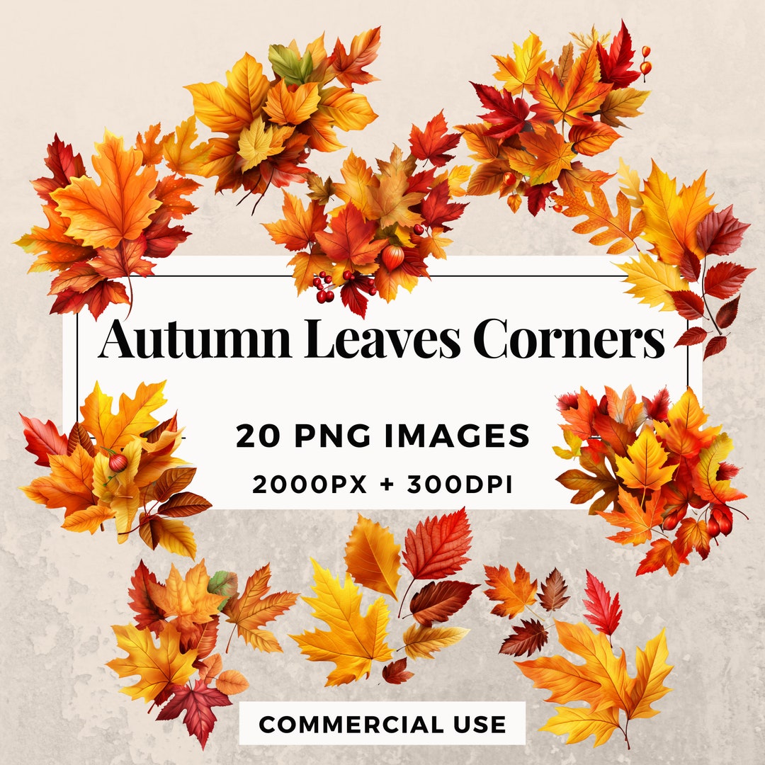 20 Autumn Leaves Corners Clipart Pack - INSTANT DOWNLOAD, PNG ...