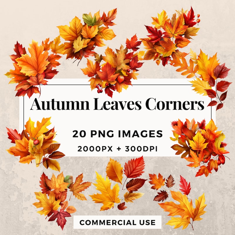 Fall Leaves Clipart - Etsy