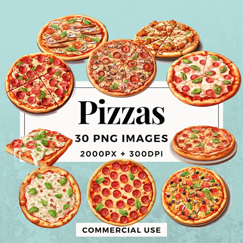30 Pizzas Clipart Pack INSTANT DOWNLOAD 30 Delicious Pizza ...