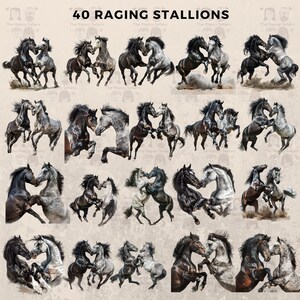 40 Raging Stallions Clipart Pack INSTANT DOWNLOAD 40 Powerful Stallion ...