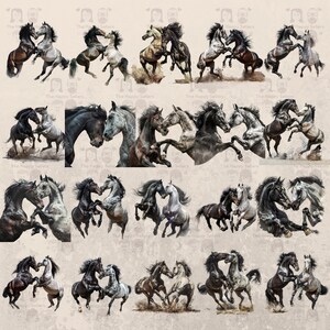 40 Raging Stallions Clipart Pack INSTANT DOWNLOAD 40 Powerful Stallion ...