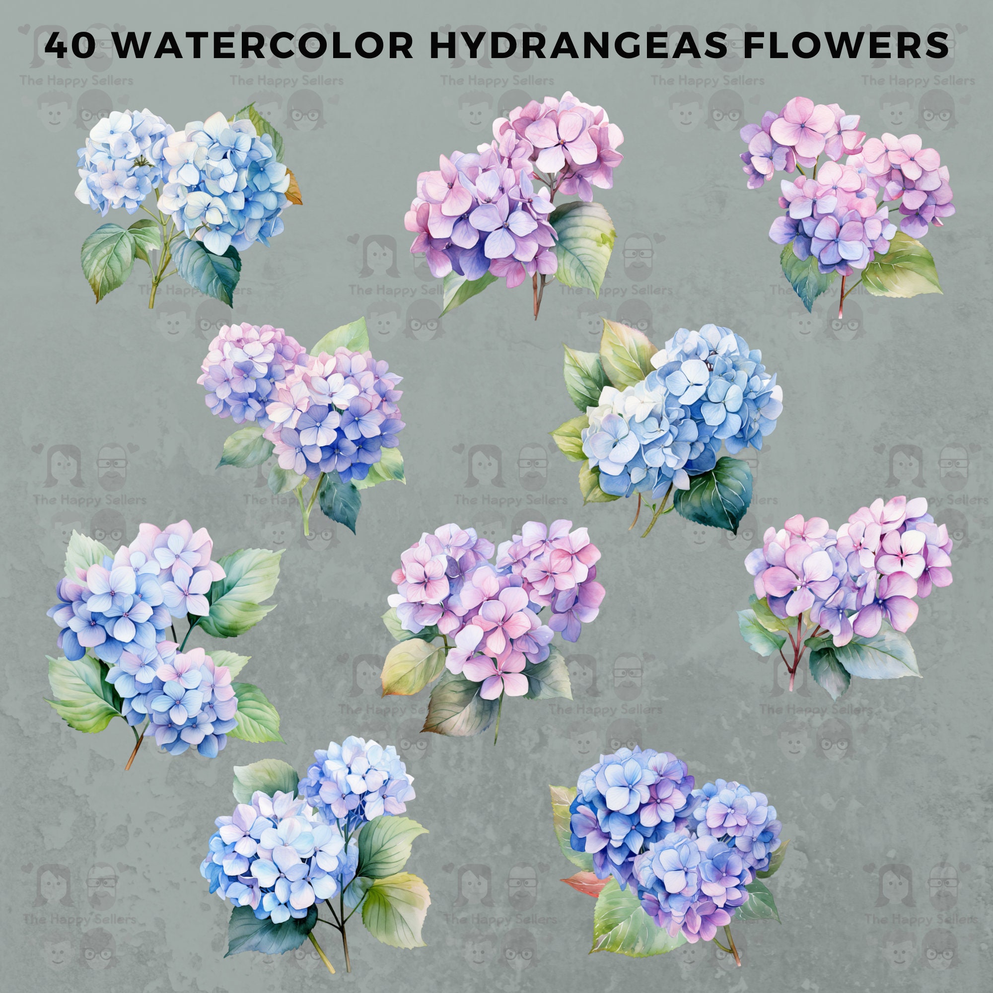 40 Watercolor Hydrangeas Flowers Clipart Pack INSTANT DOWNLOAD 40 ...