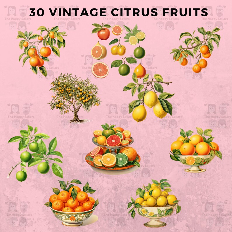 30 Vintage Citrus Fruits Clipart Pack INSTANT DOWNLOAD 30 Fruit ...