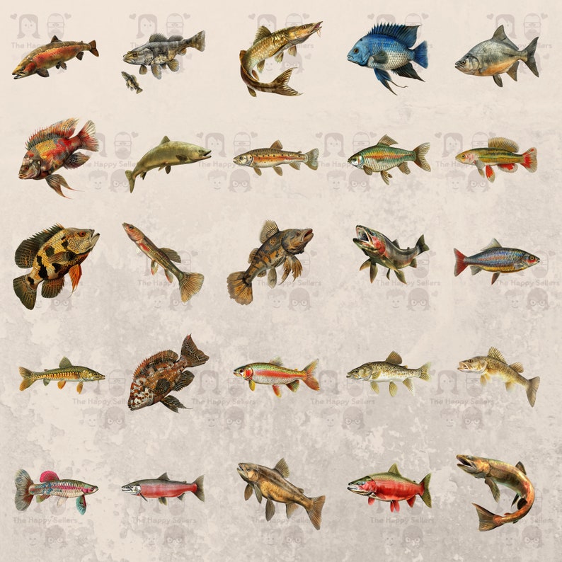 70 Freshwater Fish Clipart Pack INSTANT DOWNLOAD 70 Colorful Fish ...