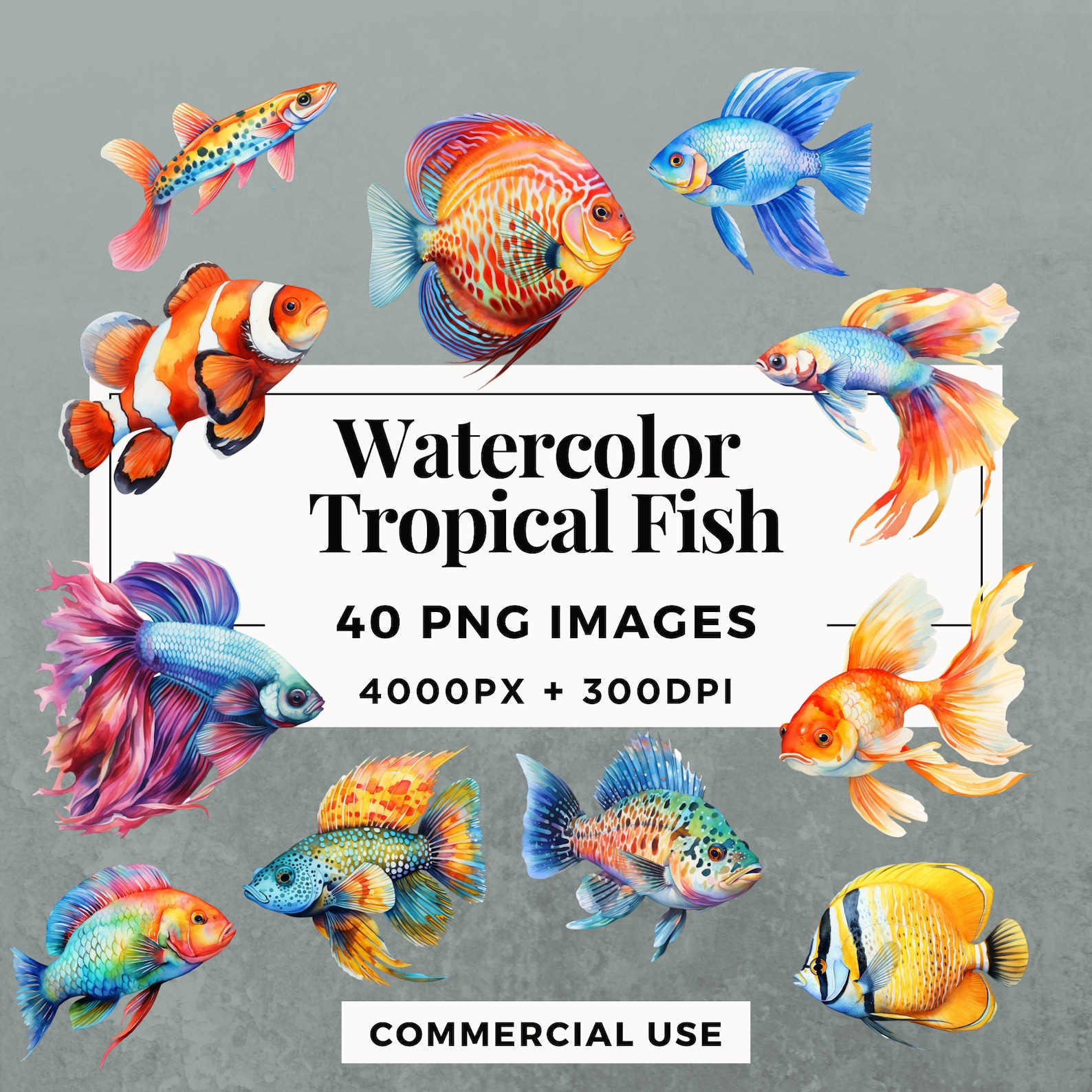 40 Watercolor Tropical Fish Clipart Pack INSTANT DOWNLOAD 40 Vibrant ...