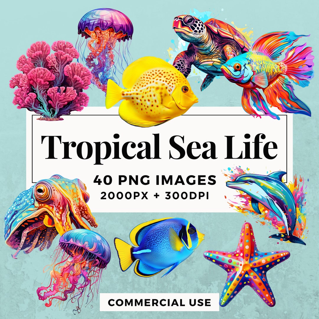 40 Tropical Sea Life Clipart Pack INSTANT DOWNLOAD 40 Vibrant ...