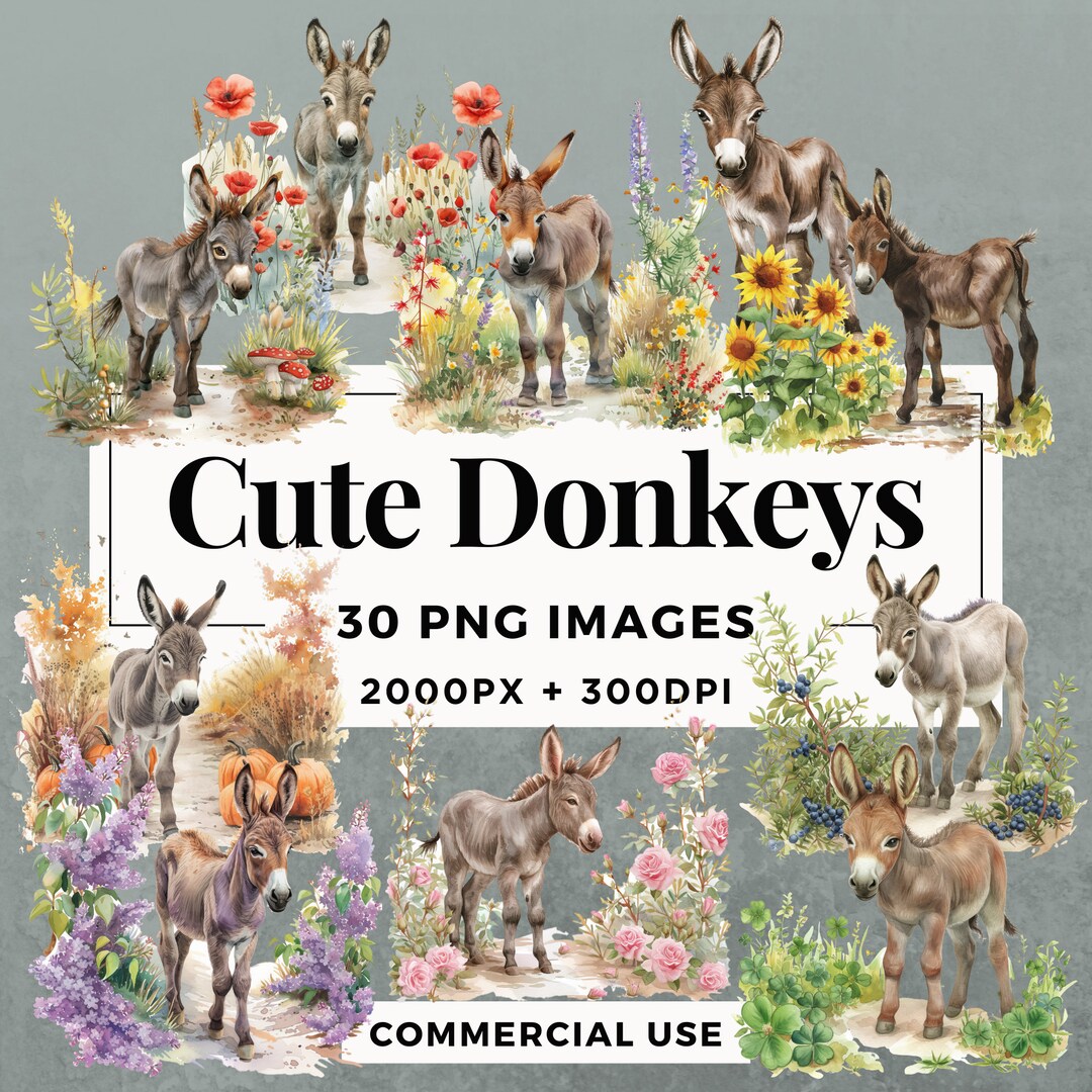 30 Cute Donkeys Clipart Pack INSTANT DOWNLOAD 30 Adorable Donkey ...