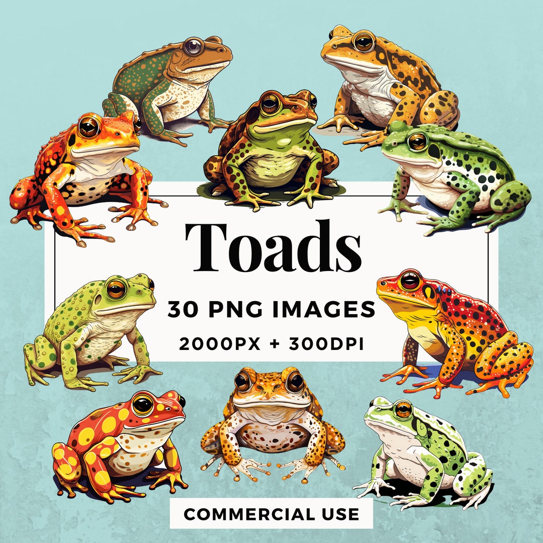30 Toads Clipart Pack INSTANT DOWNLOAD 30 Whimsical Toad Illustrations ...