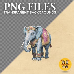 112 Fantasy Circus Characters Clipart Bundle - Instant Download, PNG ...