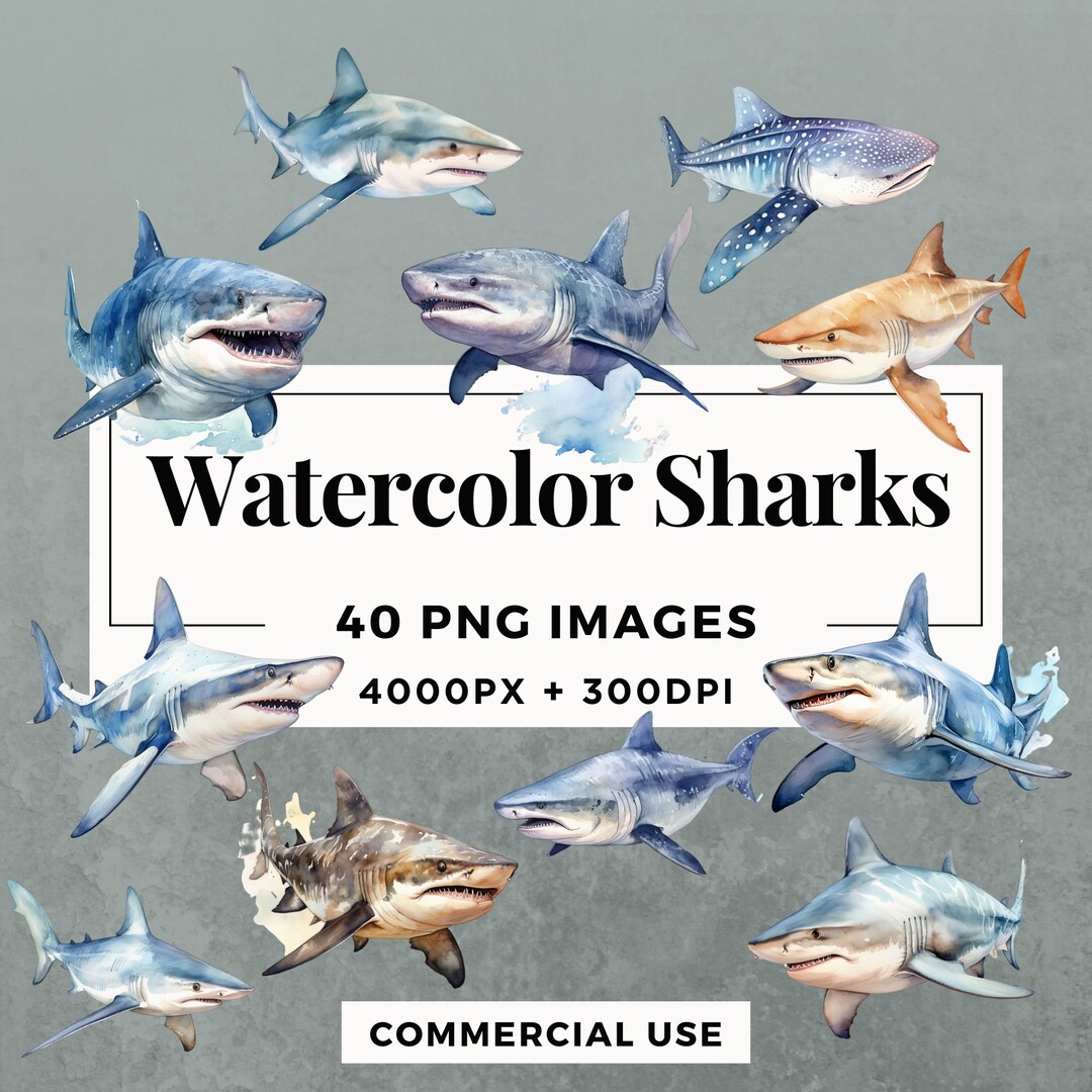 40 Watercolor Sharks Clipart Pack INSTANT DOWNLOAD 40 Shark ...
