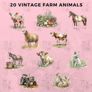 20 Vintage Farm Animals Clipart Pack INSTANT DOWNLOAD 20 Farm ...