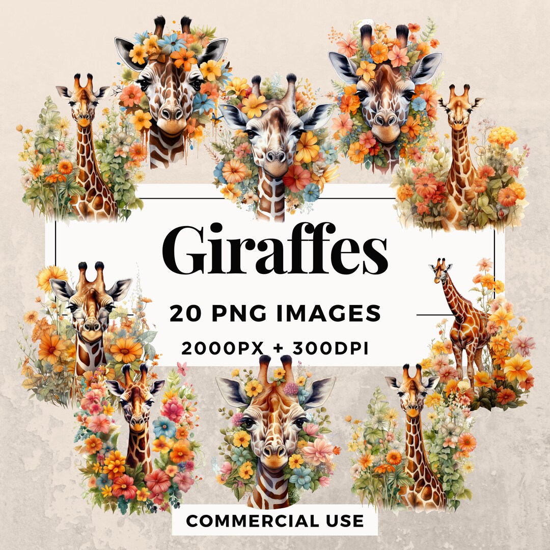20 Giraffes Clipart Pack INSTANT DOWNLOAD 20 Majestic Giraffe ...