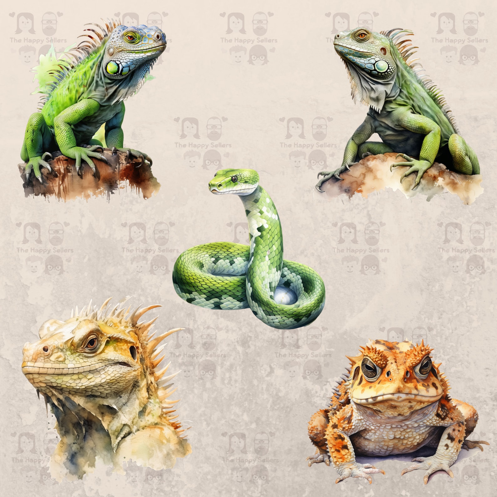 20 Reptiles and Amphibians Clipart Pack - Instant Download, PNG Images ...